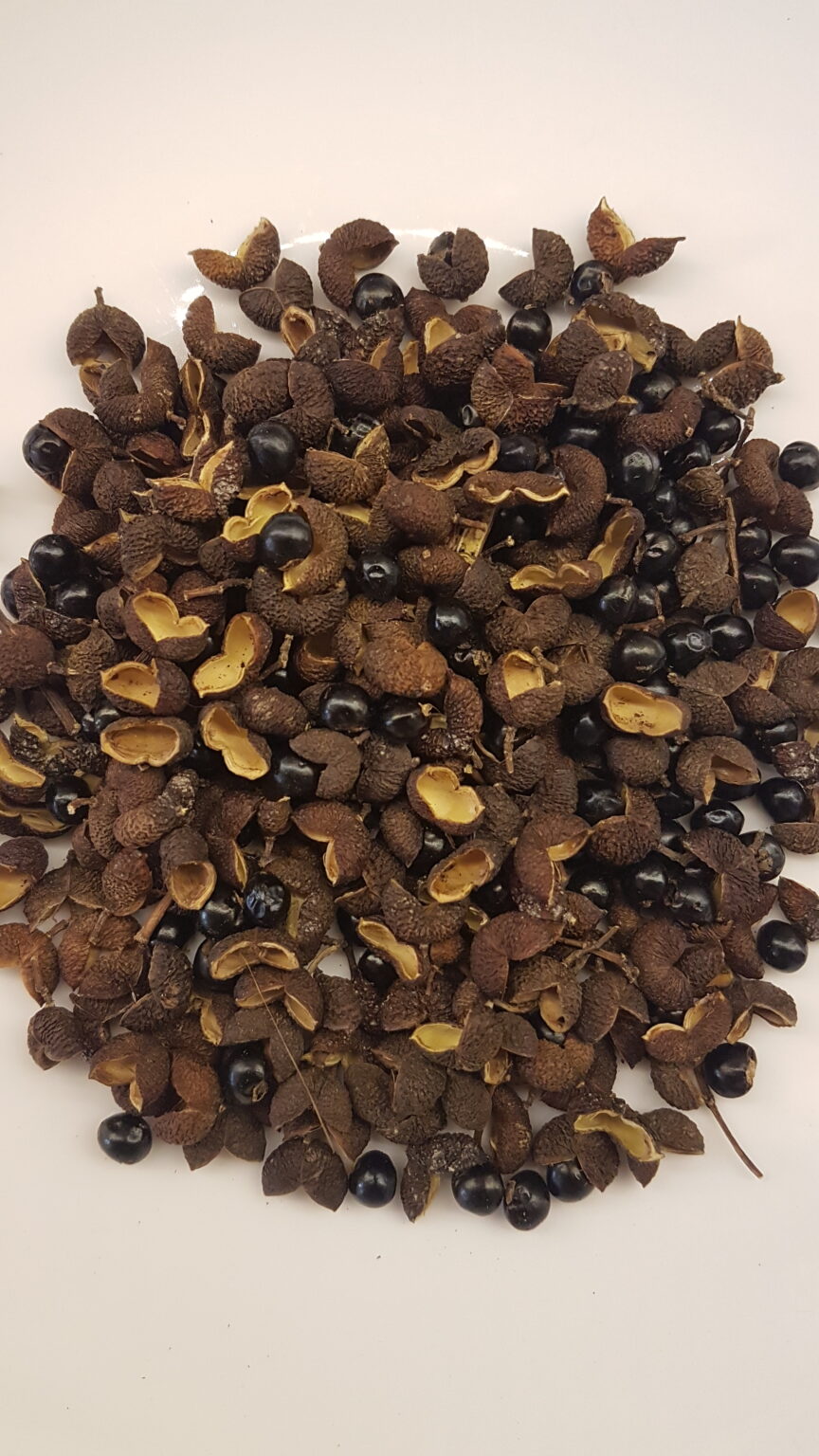 Tefla/Teppal/Tirphal | nayakskitchen - Your Own Pakshala
